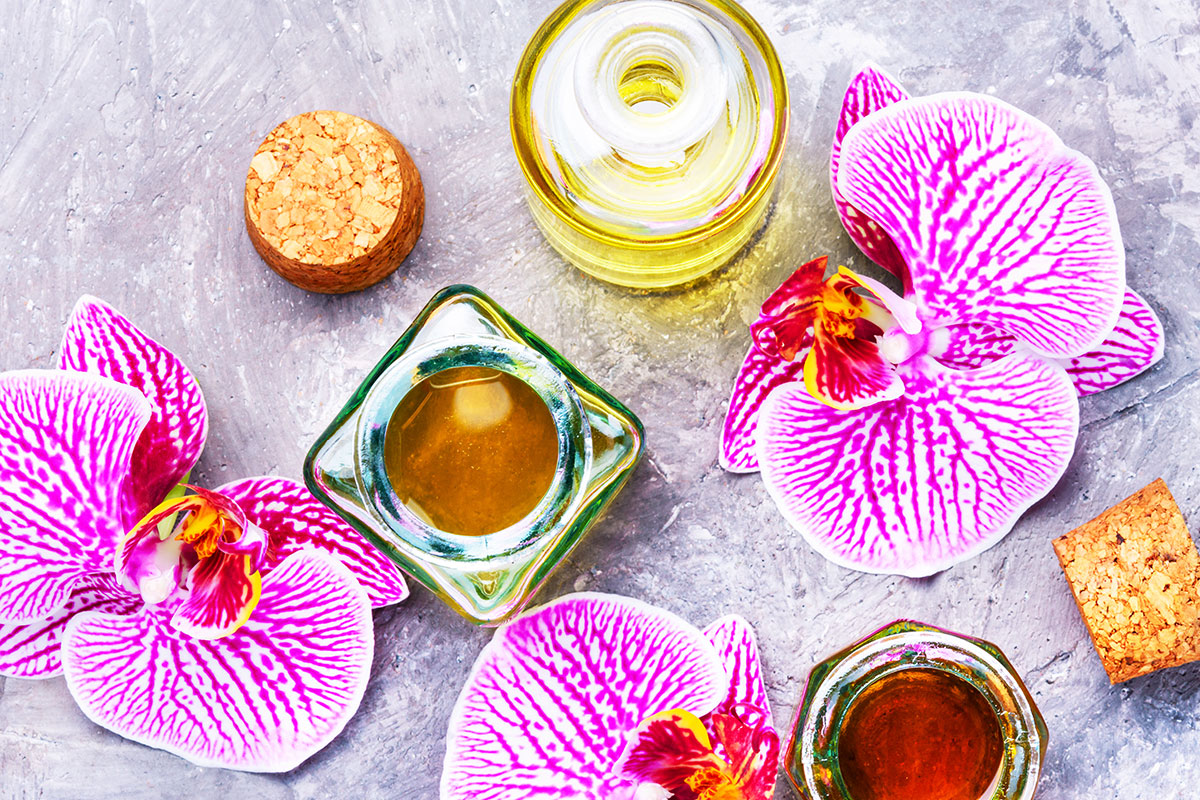 REMEDIOS NATURALES | MERITXELL BOQUET